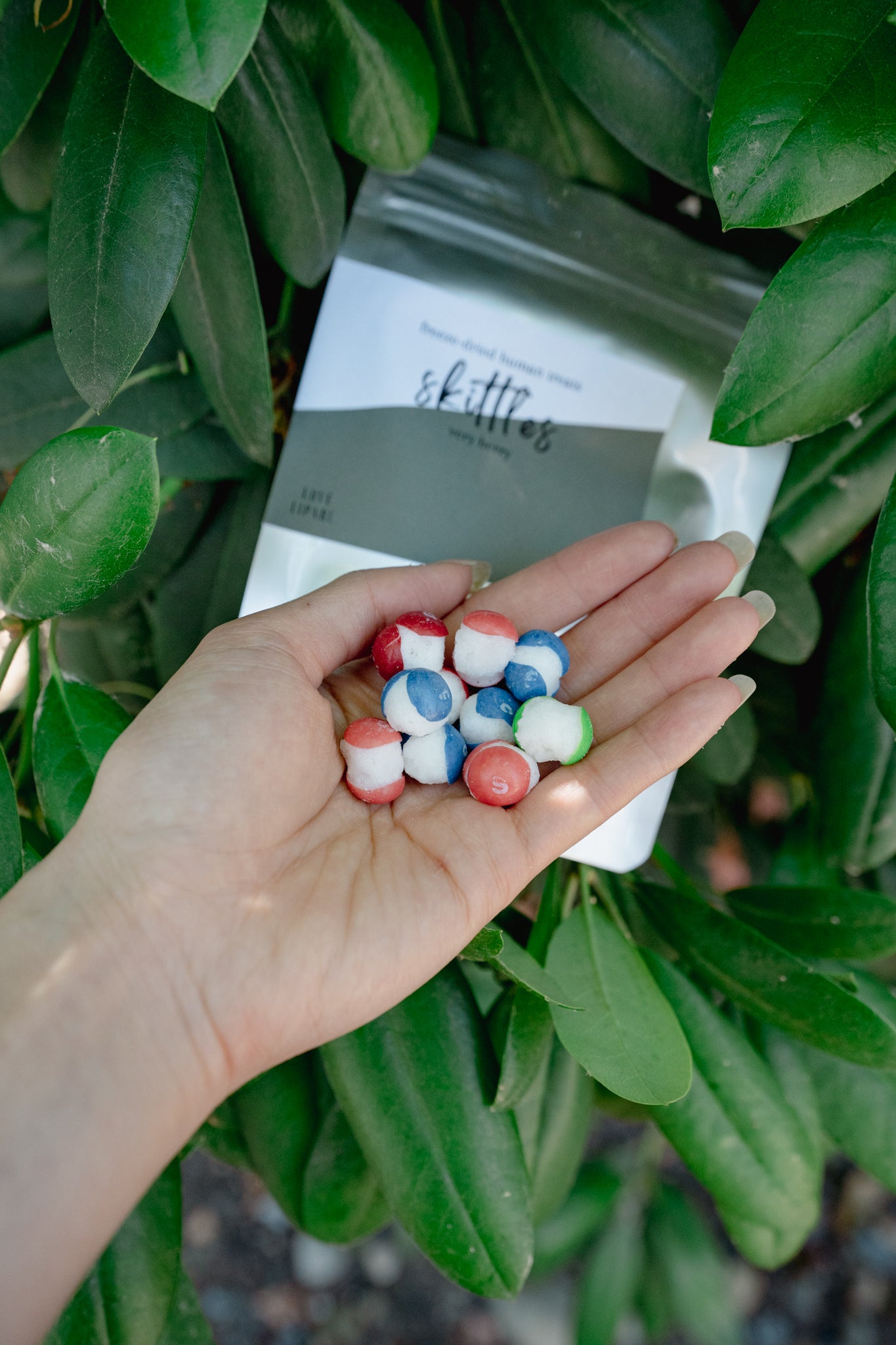 Skittles *Wild Berry Flavor* | Freeze-Dried Human Treat – Love Liparu